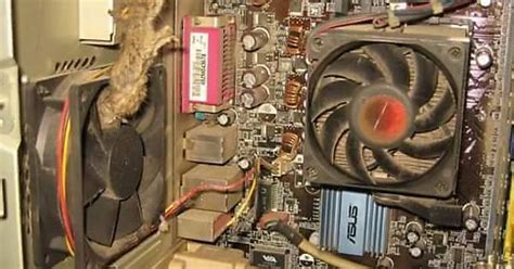 Ok Lets Check My Pc Omg Imgur