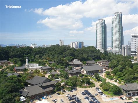 시원한 초가을 걷기 좋은 서울 나들이 코스 Feat 인터컨티넨탈 서울 코엑스 네이버 블로그