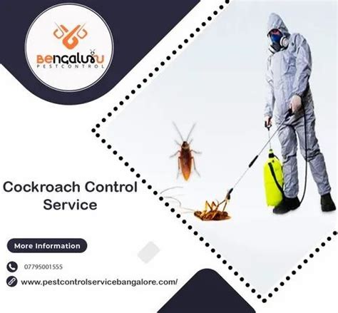 General Pest Pest Control Services And Pest Control Services For