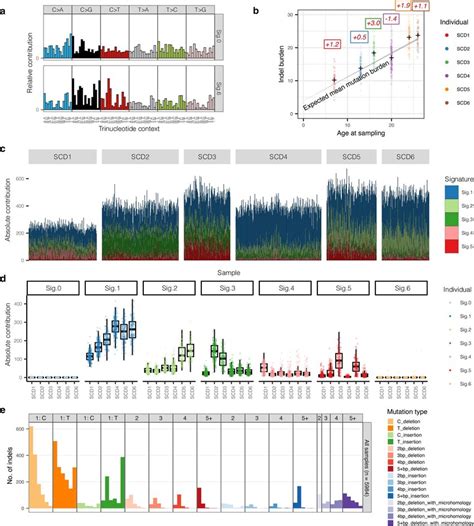 Mutation Burdens And Signatures Prior To Gene Therapy A Extracted