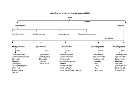 Classification Of Fungi By G Pdf