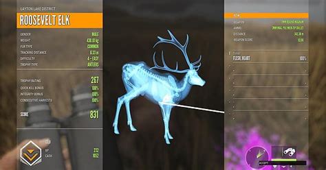 The Hunter Cotw Heart Shot Indicator Album On Imgur