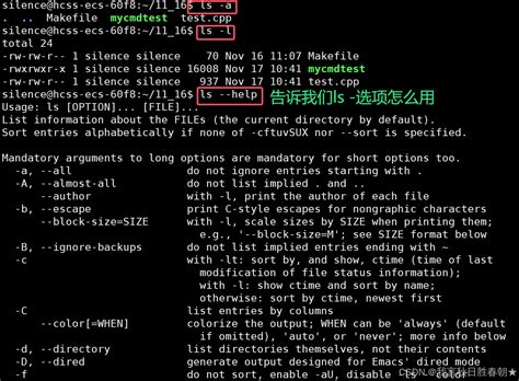 【linux】环境变量 linux环境变量 csdn博客
