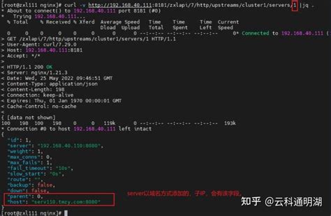 Nginx如何动态增删upstream中的server？ 知乎