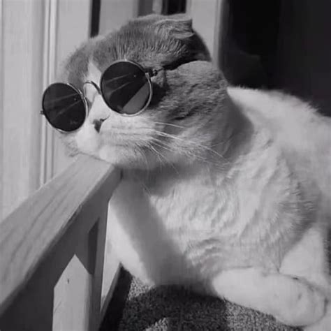 稚屿的博客 一学到底