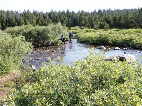 Beartooth Plateau Loop The Compulsive Hiker