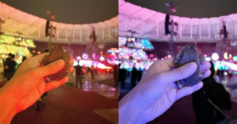Frog Attends Coldplay Concert And Gets Once In A Lifetime Experience
