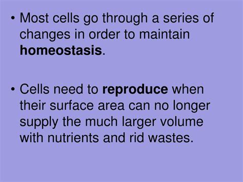 Ppt Chromosomes Binary Fission Mitosis Cancer Powerpoint Presentation
