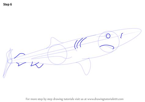 How To Draw A Blue Shark