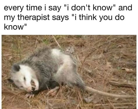 Therapy Memes 7 20250213 Thunder Dungeon The Funniest Memes Period