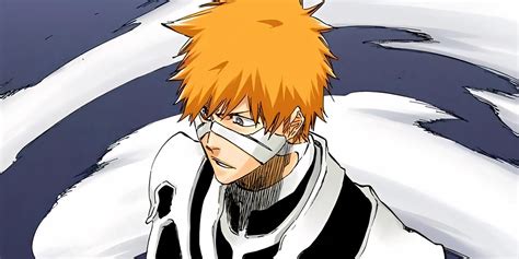 Bleach Ichigo Release Form