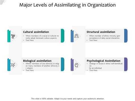 Major Levels Of Assimilating In Organization Powerpoint Slides