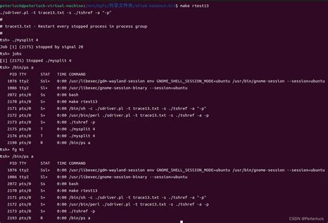 一文读懂csapp Shell 微壳实验csapp Tinyshell Csdn博客