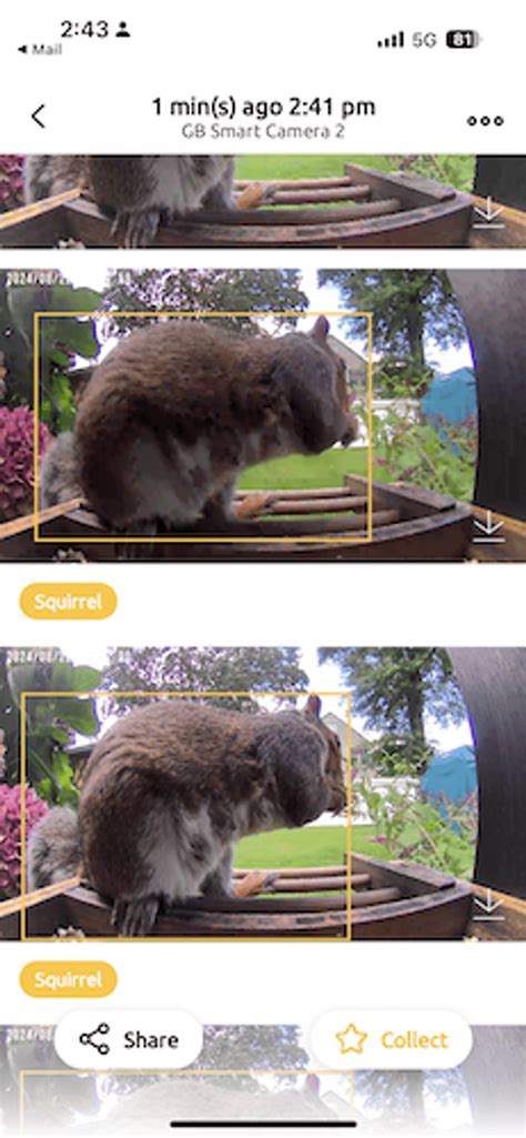 Explore Birdfy Bamboo Smart Feeder Review And Insights Gearbrain