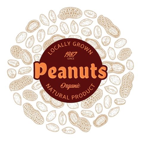 Premium Vector Vector Peanuts Label Peanut Seeds And Shells Icons