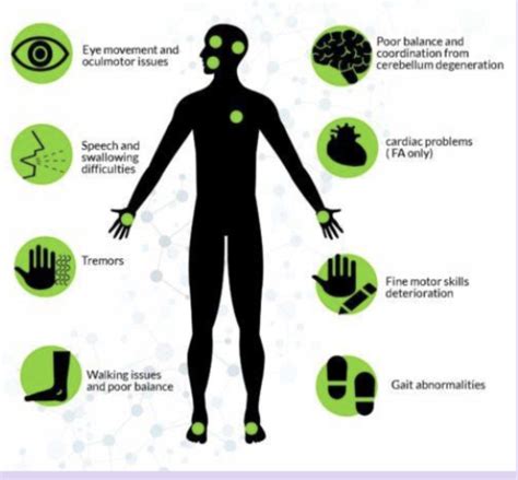 Ataxic Dysarthria Flashcards Quizlet