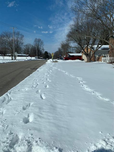 I Want To Thank My Son Todd Herb Roach Ofallon Mayor