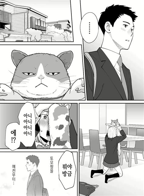 해연갤 야망가 보는데 고양이가 ㅈㄴ귀여움