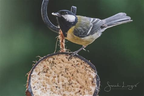 Sharemondays2020 Squabbling Siblings Taking One Day At A Time