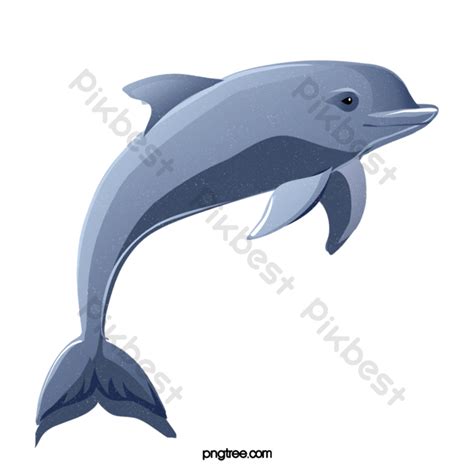 Detail Gambar Karikatur Lumba Lumba Koleksi Nomer 11