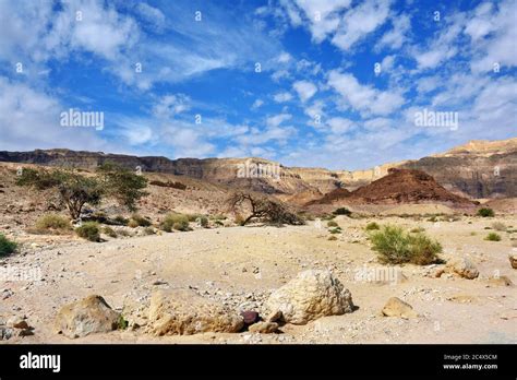 Negev Desert Location
