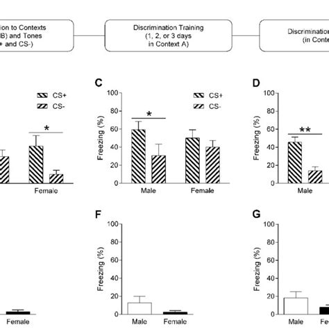 Sex Differences In Auditory Fear Discrimination Depend On The Extent Of