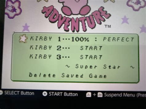I Got 100 On Extra Mode In Kirbys Adventure Kirby
