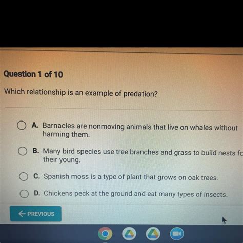Predation Relationship Examples