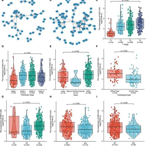 The Protein Protein Interaction Ppi Network Of Msc As1 Was