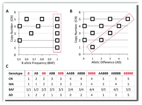 All Possible Allelic Contents For Dna Copy Number From 1 Copy To 5