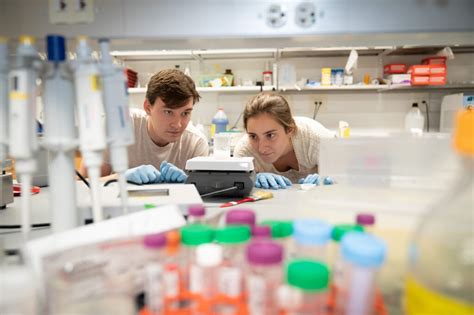 Minor In Biomedical Engineering Meinig School Of Biomedical Engineering