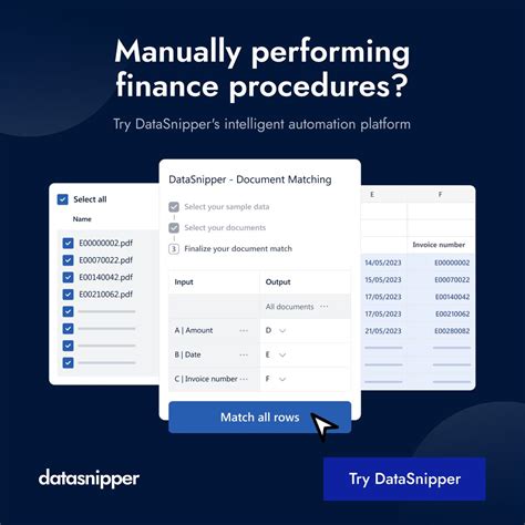 Datasnipper For Financial Control Datasnipper