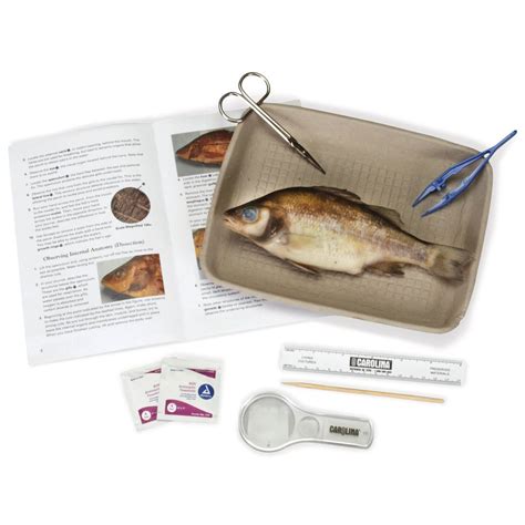 Carolinas Young Scientist™ Perch Dissection Kit Carolina Biological