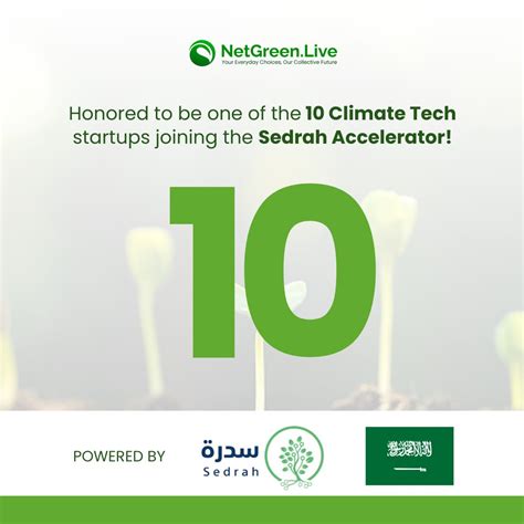 Nisreen Shadad Posted On Linkedin