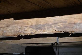 Is There A Difference In Dry Rot Vs Wet Rot On My Pier And Beam Home