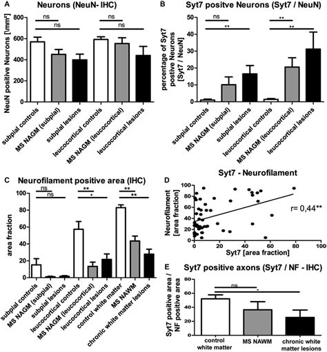 neuronal accumulation and axonal rarefaction of syt7 software‐assisted