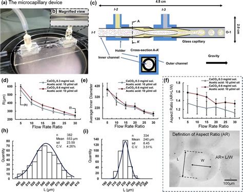 Fabrication Of Coreshell Alginate Hydrogel Microcapsules A An Download Scientific Diagram