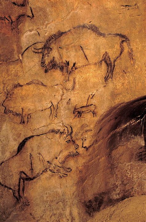 Cro Magnon Cave Art