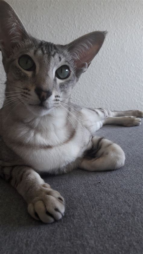 Benjymouse On Tumblr