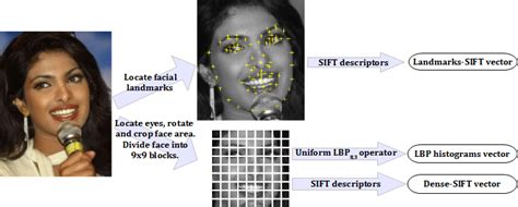 Feature Extraction Process For Landmarks Sift Lbp And Dense Sift
