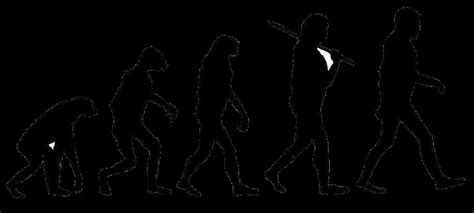 Guiding Principles For An Evolutionary Architecture