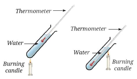 Question Answer Ch 7 Class 7 Science Curiosity Ncert