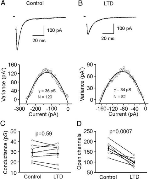 Peak Scaled Nonstationary Variance Analysis Shows That Pairinginduced