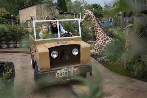 New Jungle Jeeps Ride Is Now Open At West Midlands Safari Park