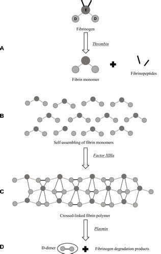 Full Article D Dimer Tests In The Emergency Department Current Insights