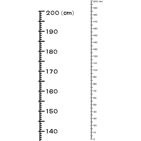 Height Chart Ruler 200cm Metric System Pvc With Transfer Film Black