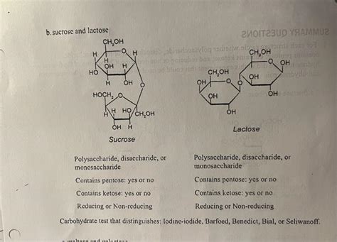 Solved B Sucrose And Lactose Lactose Polysaccharide