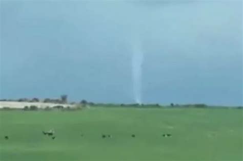 Incredible Footage Shows Mini Tornado Hitting Cork Farm Sending Cows