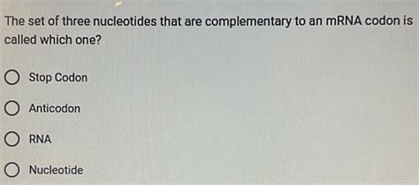 The Set Of Three Nucleotides That Are Complementary To An Mrna Codon Is
