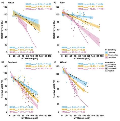 Modeling The Effects Of Tropospheric Ozone On The Growth And Yield Of